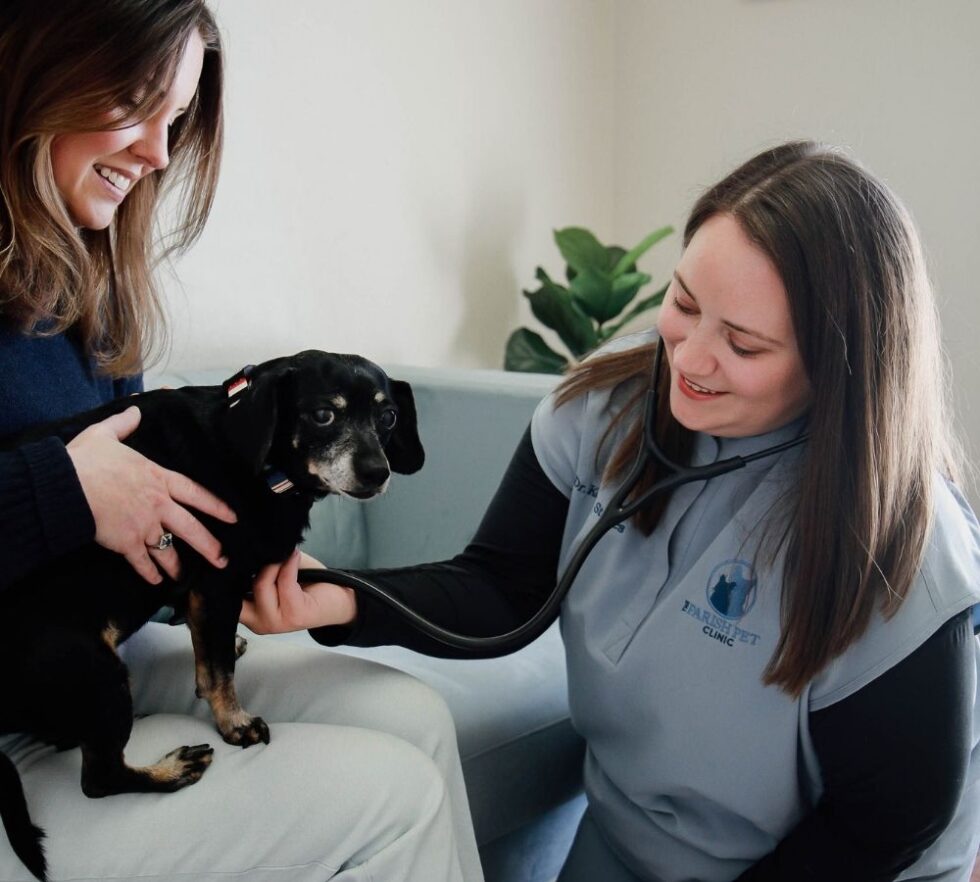 Home - The Parish Pet Clinic - Veterinary Care