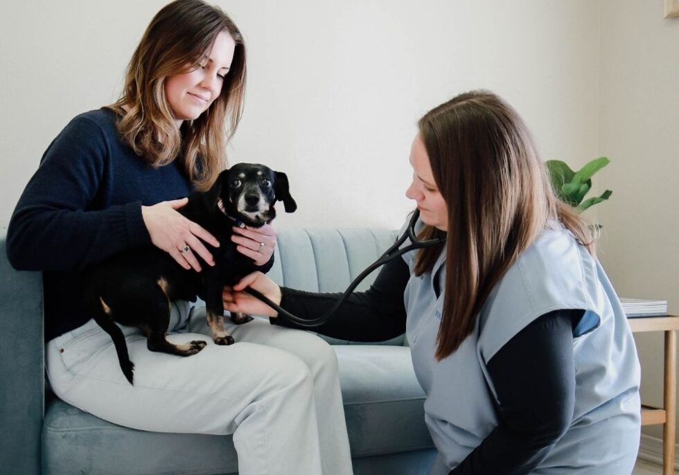 Home - The Parish Pet Clinic - Veterinary Care