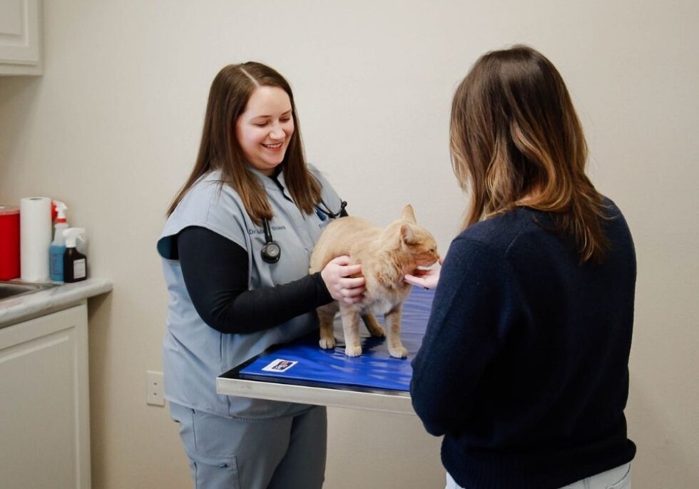 Home - The Parish Pet Clinic - Veterinary Care